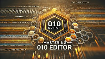 Working with 010 Editor